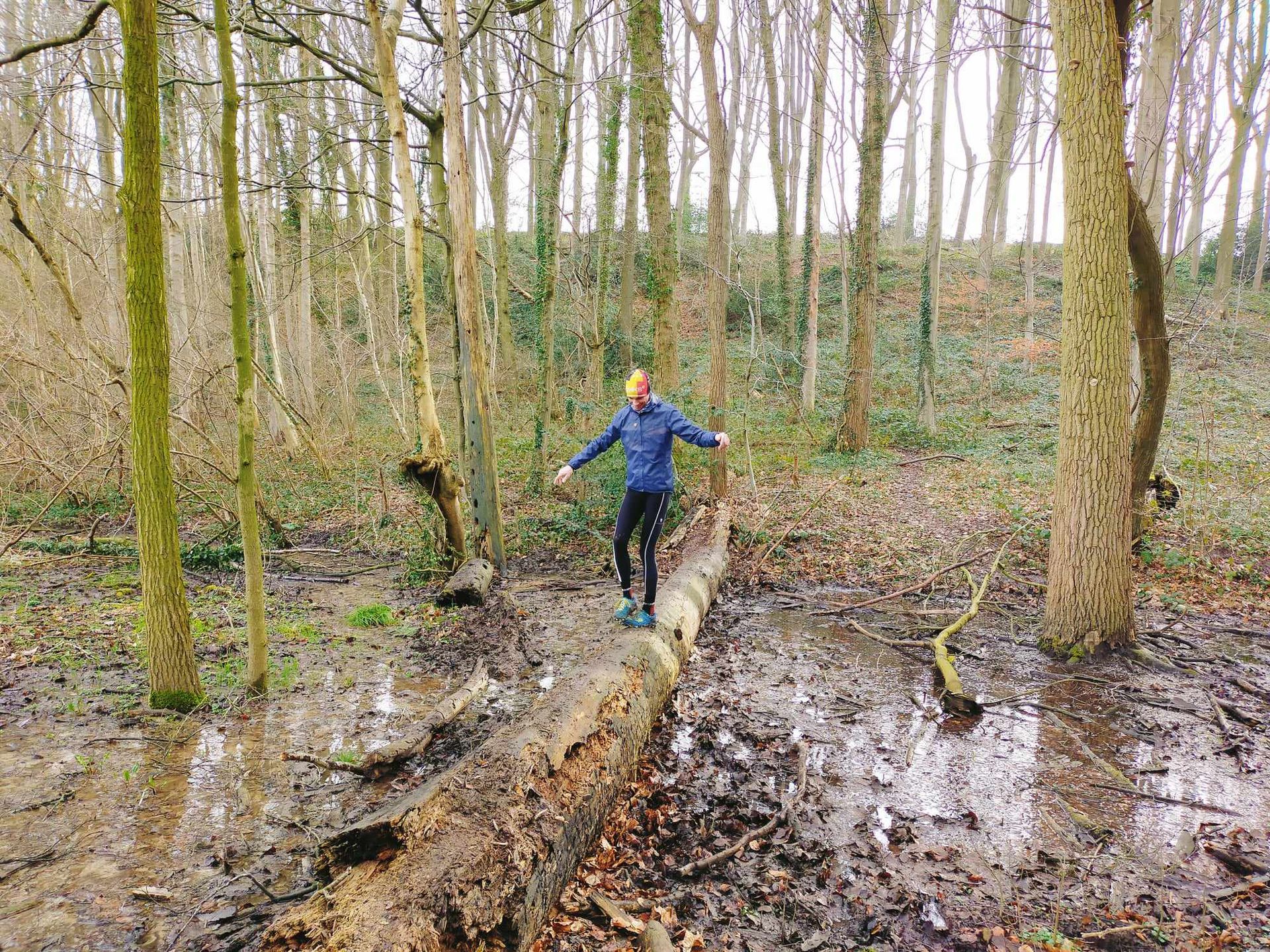 Spijkerbos Trail | Hermes Running Events