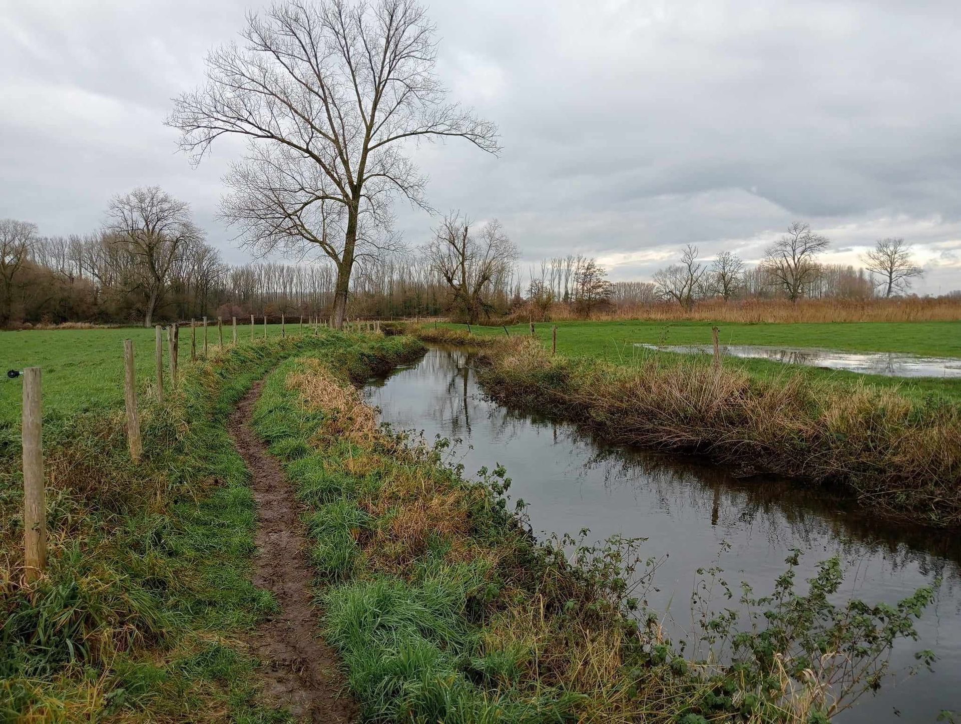 Ter Monde Trail | Hermes Running Events